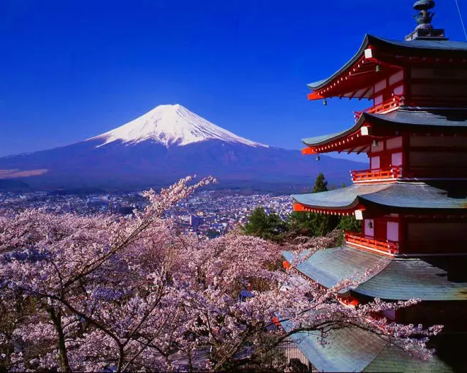 Japonia