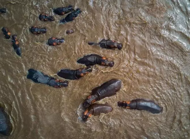 Fotografia fatta in nazionale