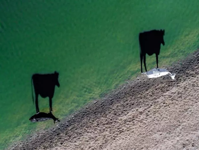 Ang Stock Foto nga gihimo sa South Africa