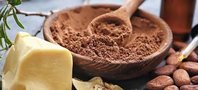 Cocoa neft - saç və üz üçün kosmetologiyada xassələri və tətbiqi, tibb 32404_2