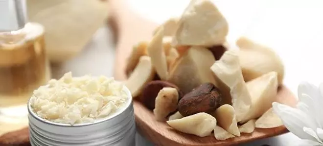 Aceite de cacao - propiedades e aplicación en cosmetologia para cabelo e cara, en medicina 32404_3