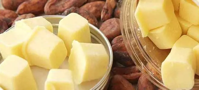 Aceite de cacao - propiedades e aplicación en cosmetologia para cabelo e cara, en medicina 32404_6