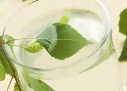 Birch Leaves Medical Properties