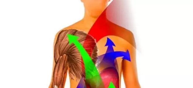 Metabolism - Inona ity fiteny tsotra ity? Ahoana ny fomba hiparitaka metabolisma, hanafainganana ny metabolism? Ahoana ny fomba hampiadana ny metabolisma ary mahazo lanja? 33450_2