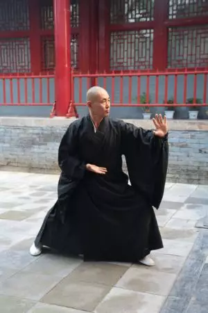 Master Shi Yanbin3.