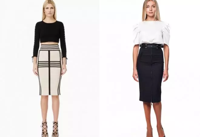 Elisabetta Franchi - sabon tarin, Down jake, gashi, sutura, sutura, riguna, skirt, skir, jaka 3484_14