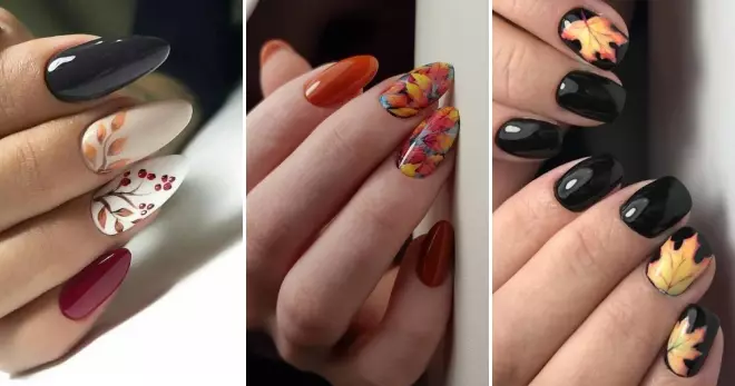 Manicure, deyrta dayrta 2020 - Alaabada ugu quruxda badan ee ugu quruxda badan, naqshadaha leh Rowan, caleemaha, cobwebs iyo roob