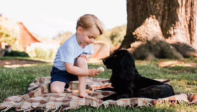 Mkpụmkpụ bụ ndị na-ahụkarị uwe Prince George