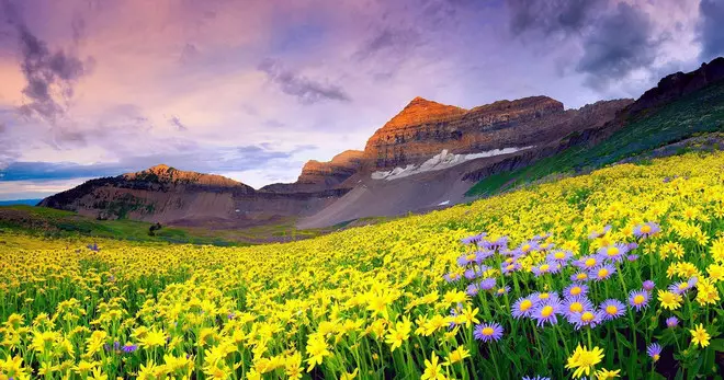 Dal af blomster