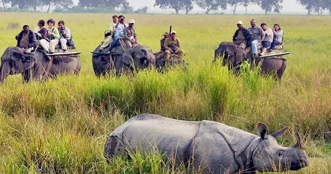 Kaziranga.