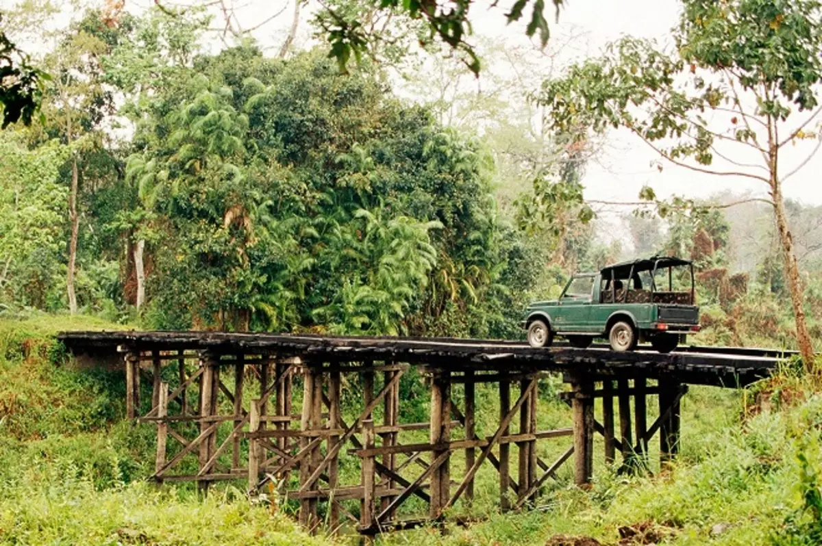 Патот до националниот парк Kaziranga