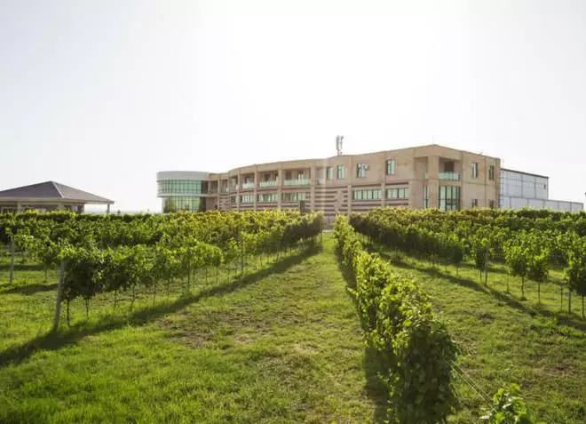 ASPI Winery Vineyards