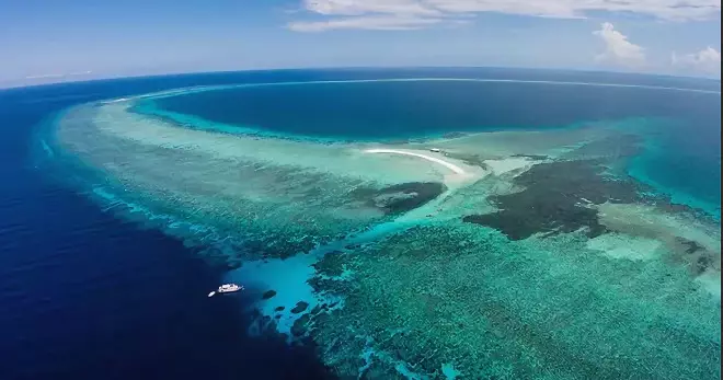 Reef Tubbataha.