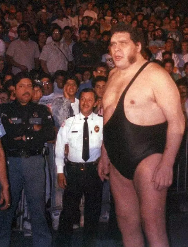 Andre Giant