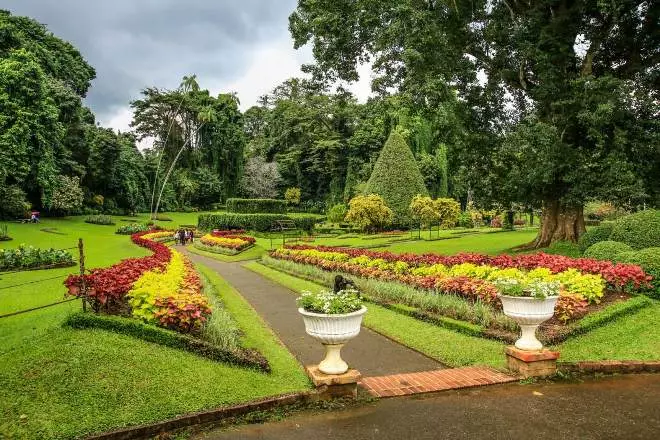 स्मारक वृक्षांची गल्ली