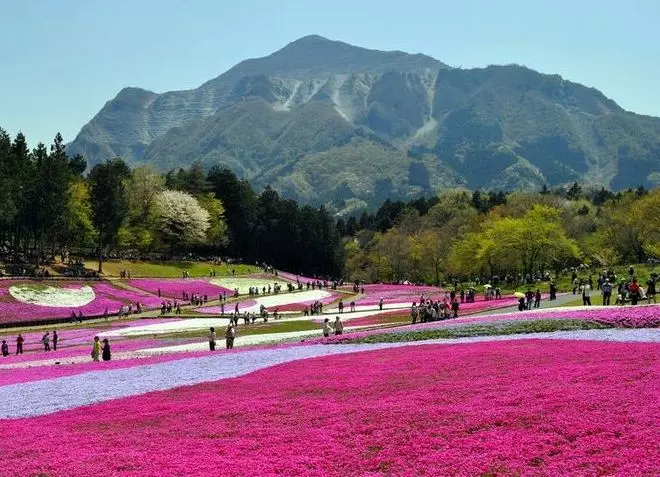 Vistas impresionantes de Chitsuzhiyama