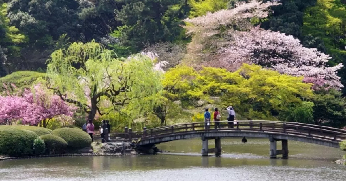 Garden Hamariku