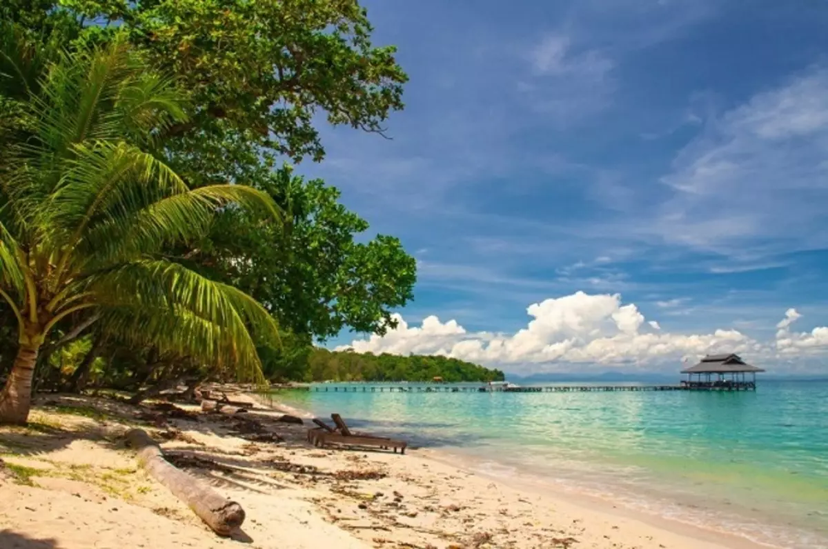 Đảo bãi biển Borneo.