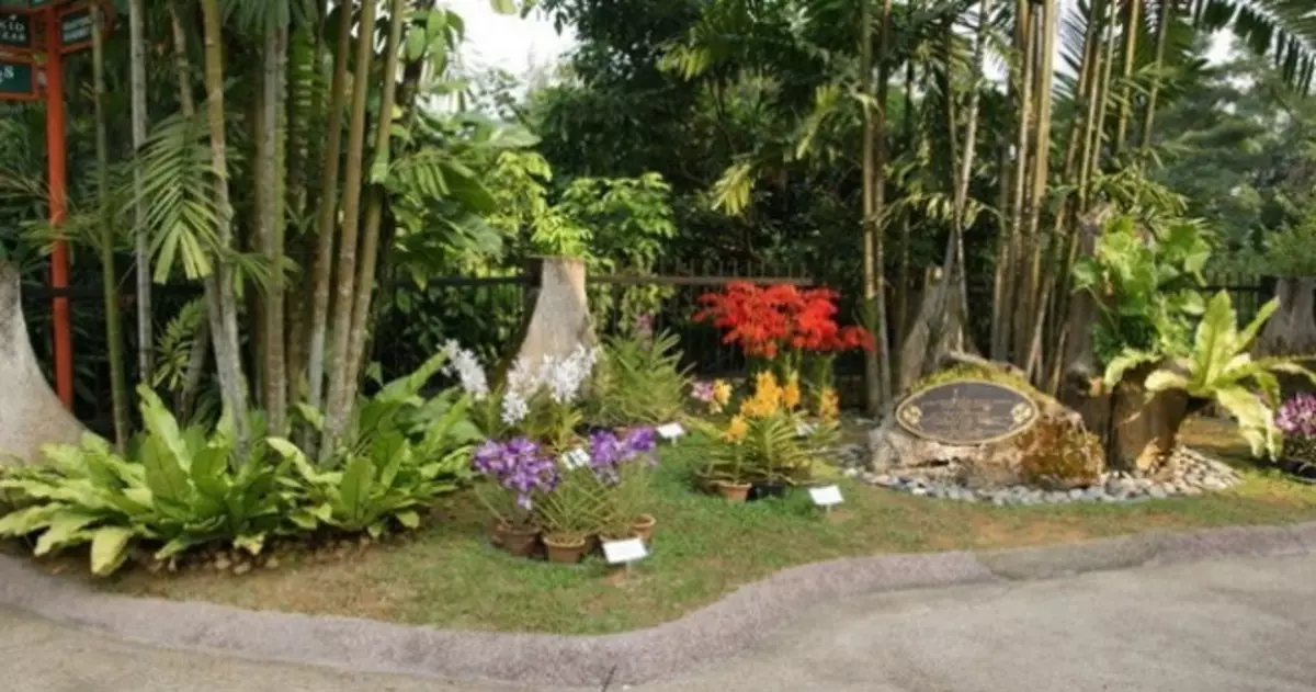 Orchid Park.