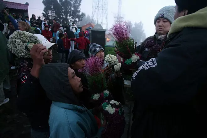 Sausie ziedi ir jāizmet krātera vulkānā