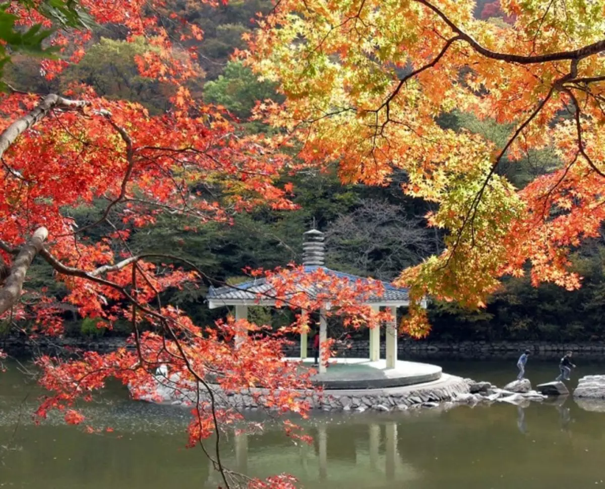 Gyönyörű park Korea