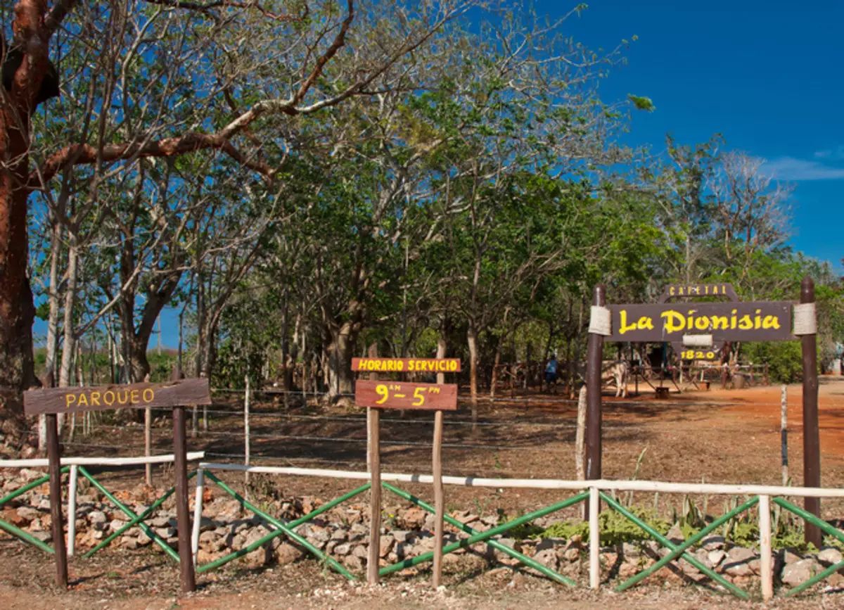 Visitar Fazenda La Dionisia