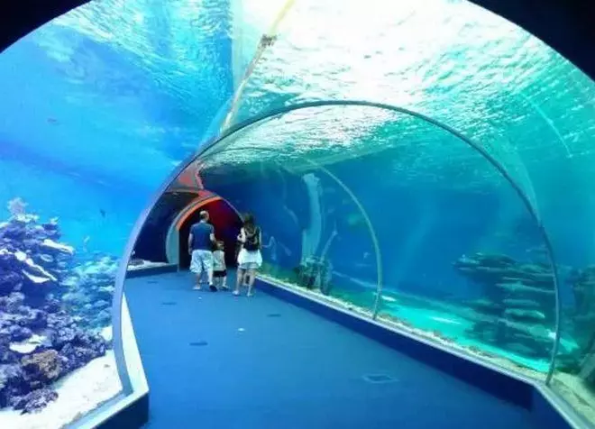 Onderwaterlabyrinten in het Oceanarium