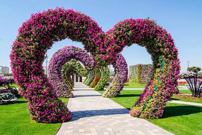 Parque de flores en Oak