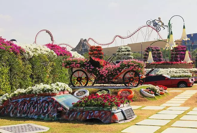 Dubai Park Flowers Como conseguir