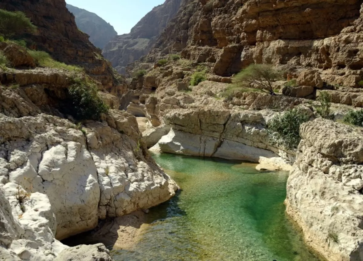 Natura Oman.