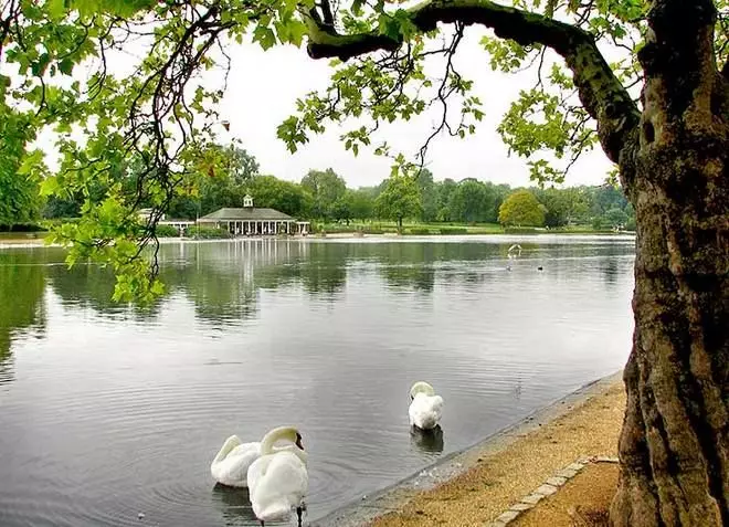 Jezero serpentine.