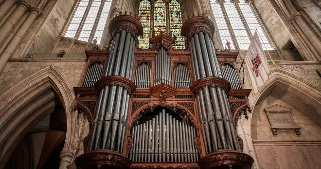 Organ