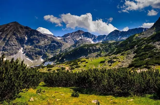 Musala (մարզը Schopluk)