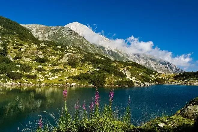 Βουνό pirin