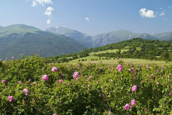 Keskimääräinen vuori (Balkan Mountains)