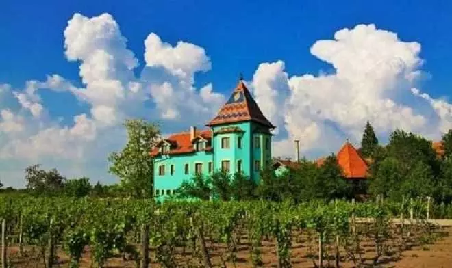 Voyvodina tarafından Gastro-Wine Tour