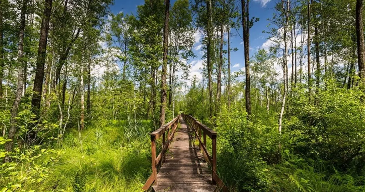 Polescky Park.