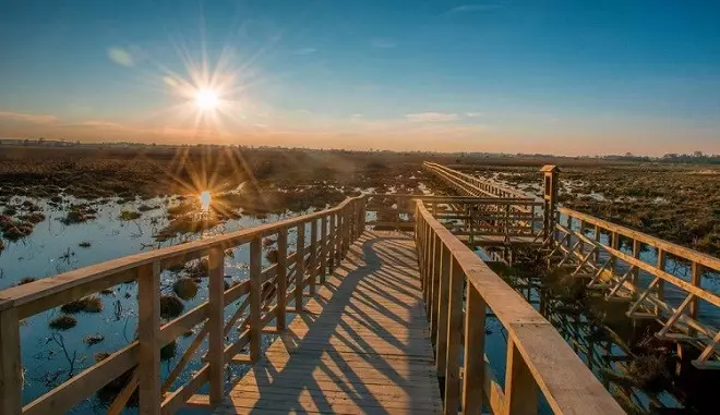 Caminos del parque Polessky