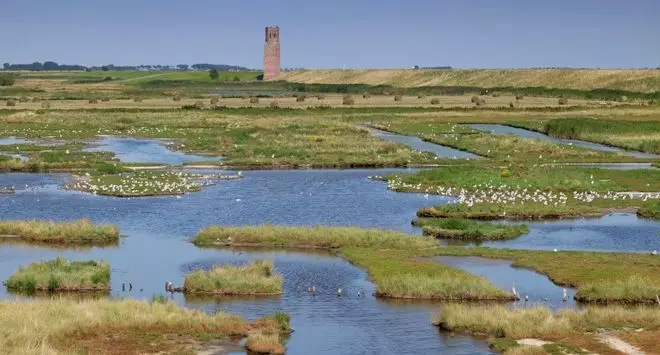 Insel Schawen-Dövelland in Seeland, Niederlande