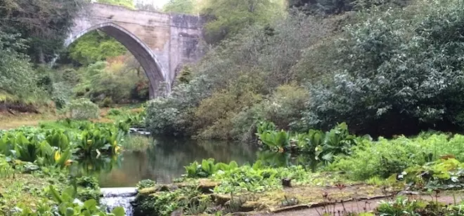 Stone Bridge en Water Garden