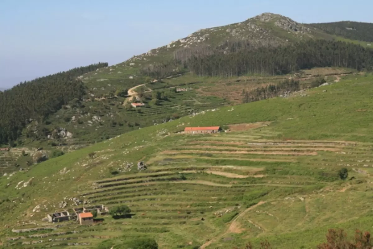 Serra di-monoshiki.