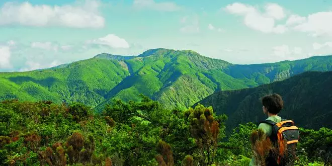 峰 - 大堡