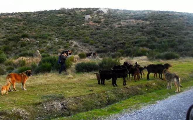 Serra da Estrela Park.