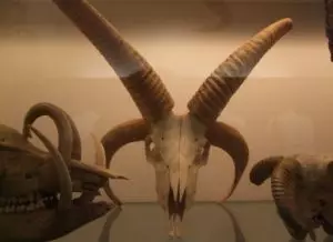 Skulpturer i Lucifer Museum