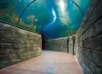 I-Tunnel kwi-aquarium