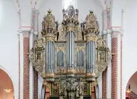 Majestatyczny organ