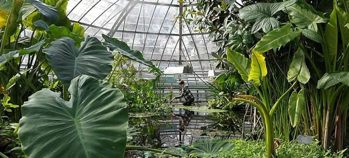 Botanischer Garten