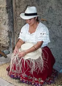 In welk land uitvonden Panama2