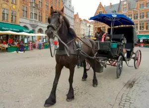 Gewilde toeriste vermaak