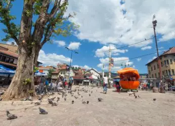 Cuadrado de palomas